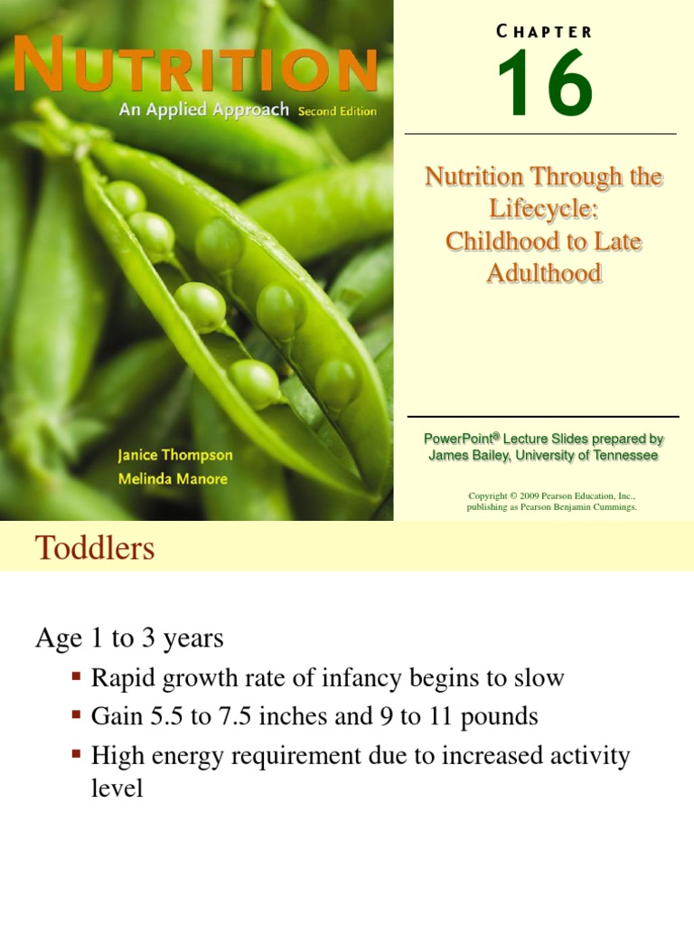 Nutrition Through The Lifecycle: Childhood To Late Adulthood | PDF ...