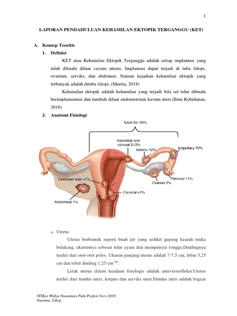 Askep Ket Nuratna | PDF