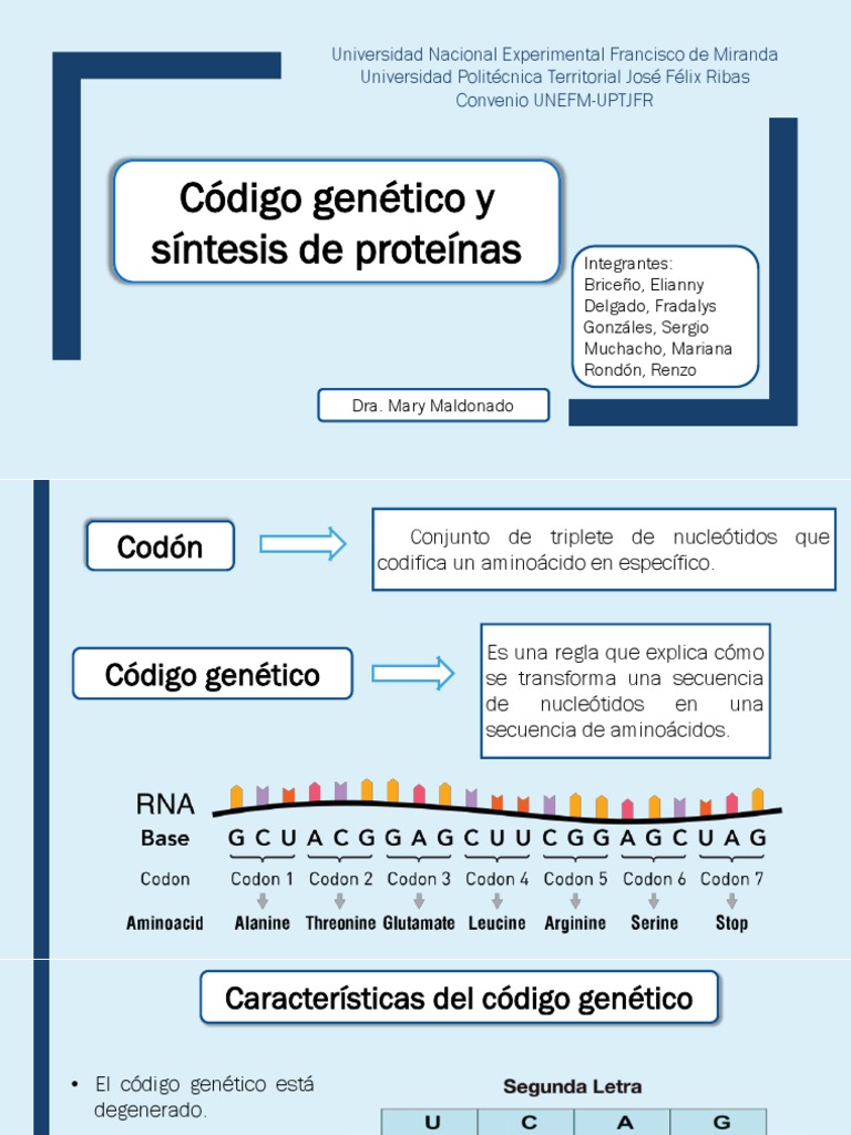 Código Genético y Síntesis de Proteínas | PDF | Codigo genetico ...