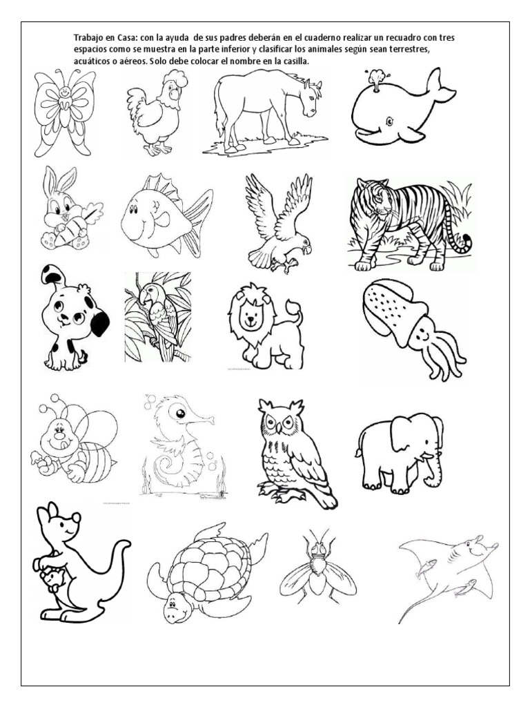 Animales Terrestres, Acuaticos y Aereos | PDF