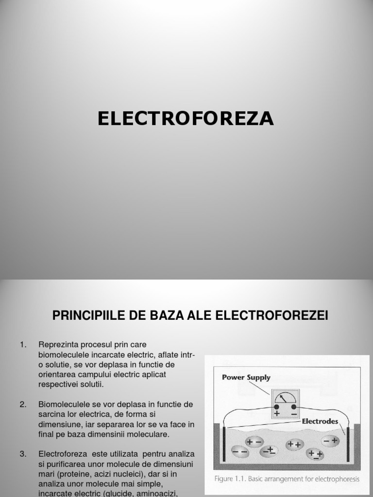 ELECTROFOREZA | PDF