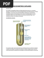 Escala y Medida de Grados Baumé | PDF | Concentración | Densidad