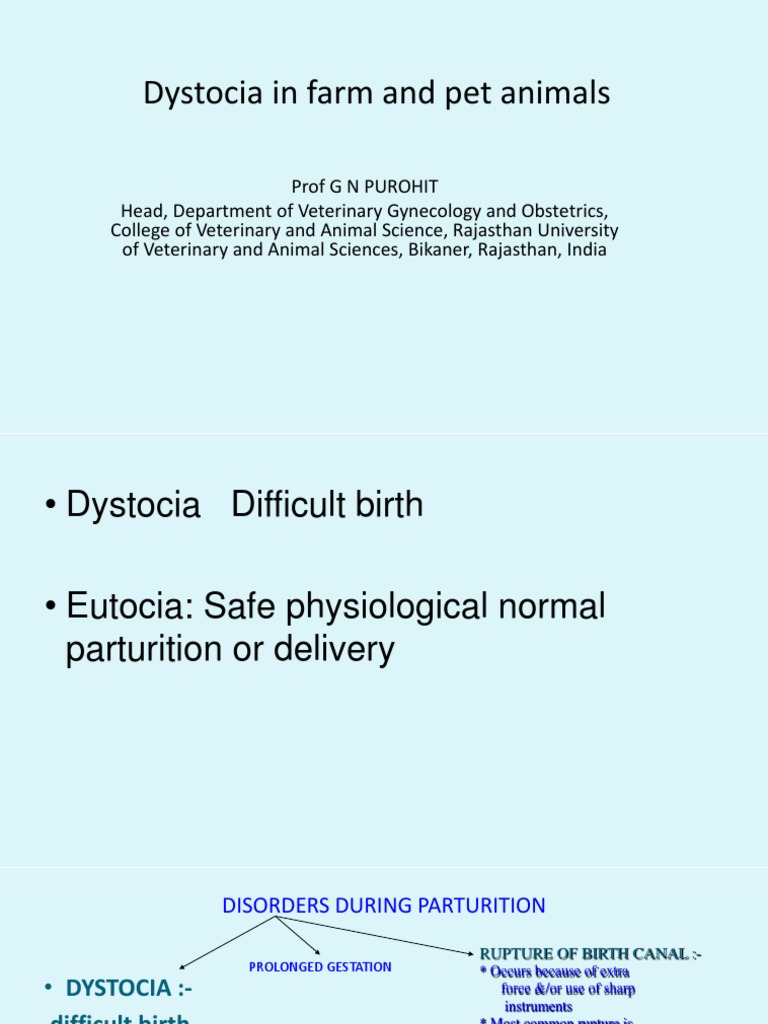 Lecture 7 Dystocia in Farm Animals | PDF | Childbirth | Vagina