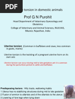 Burdizzo Method of Bovine Castration | PDF | Medicine | Male Mammals
