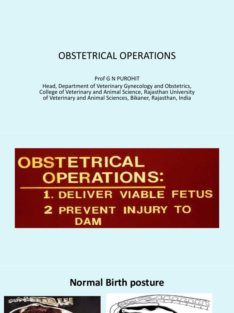 Obstetrical Operations Overview | PDF | Caesarean Section | Childbirth
