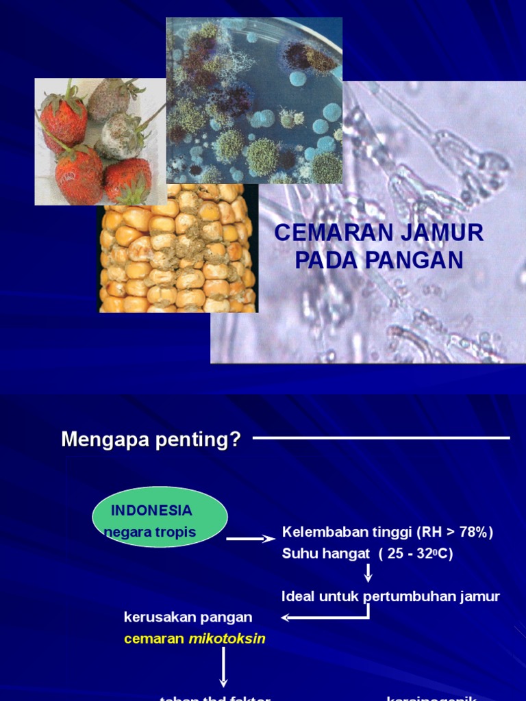 Cemaran Jamur Pangan | PDF