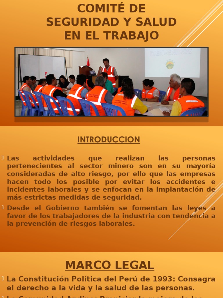 Comité de Seguridad y Salud en El Trabajo | PDF | Seguridad | Derecho ...