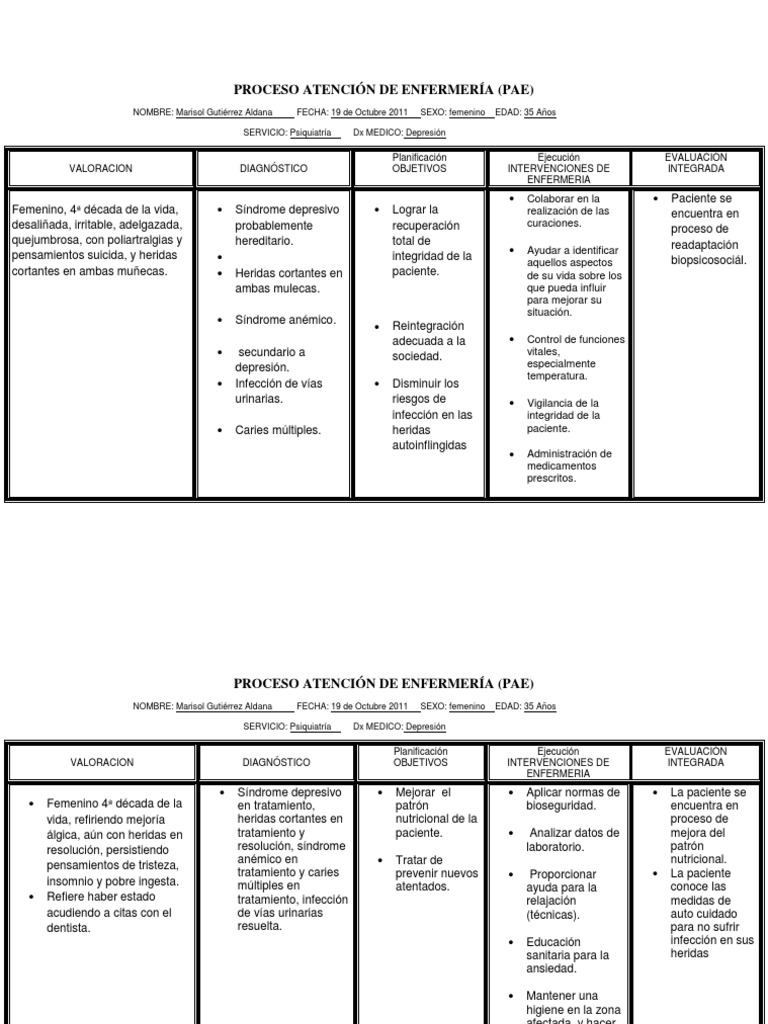 Como Hacer Un PAE | PDF | Depresión (estado de ánimo) | Enfermería