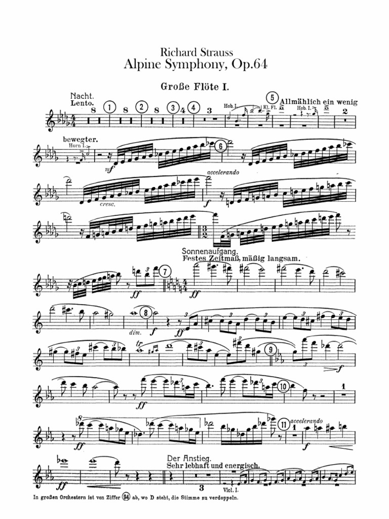 Strauss Alpine Symphony PDF | PDF