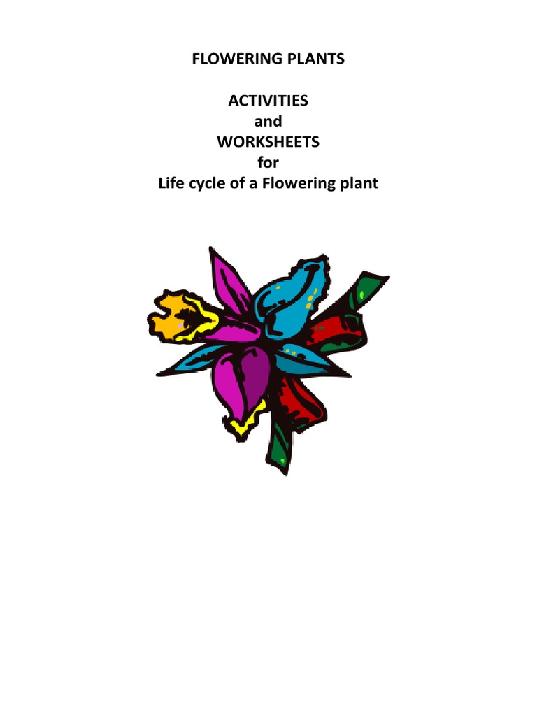 Flowering Plants Worksheet | PDF | Petal | Flowers