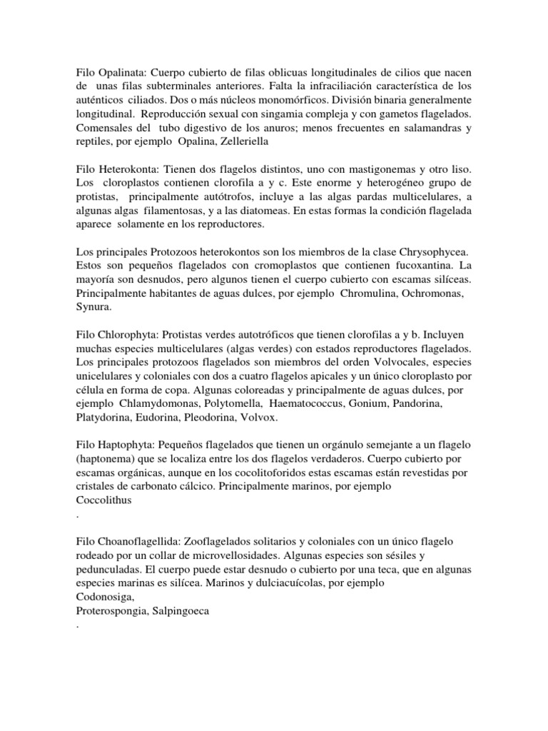Opalinata | PDF
