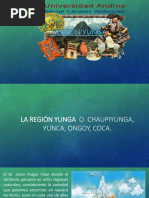 Qué Es La Región Yunga | PDF | Clima | Geografía Física