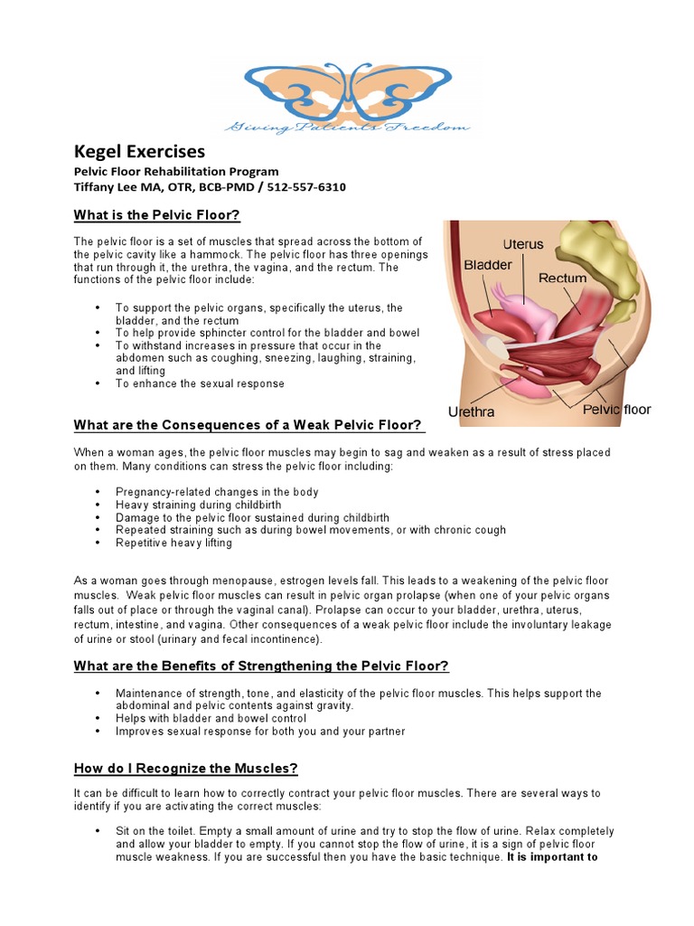 How To Do Kegel Exercises PDF | PDF | Urinary Incontinence | Animal Anatomy