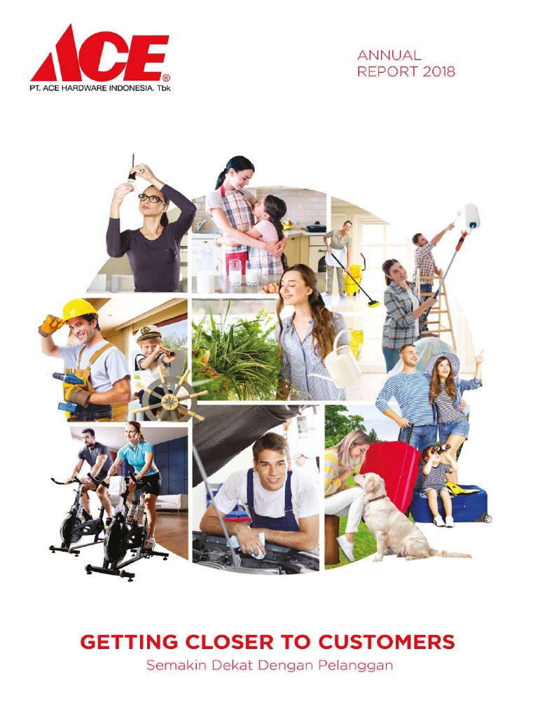 Ace Hardware Annual Report 2018 | PDF | Dividend | Margin (Finance)