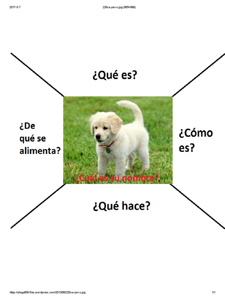 Imágenes y dibujos de texto descriptivo | PDF