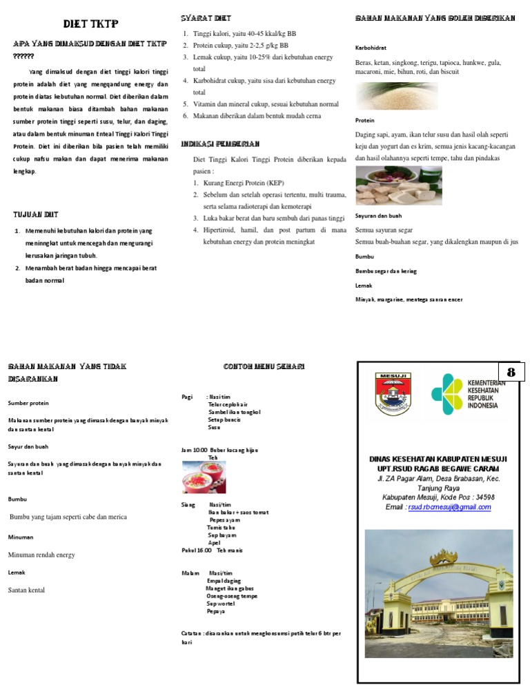 Diet TKTP: Panduan Tinggi Kalori & Protein | PDF