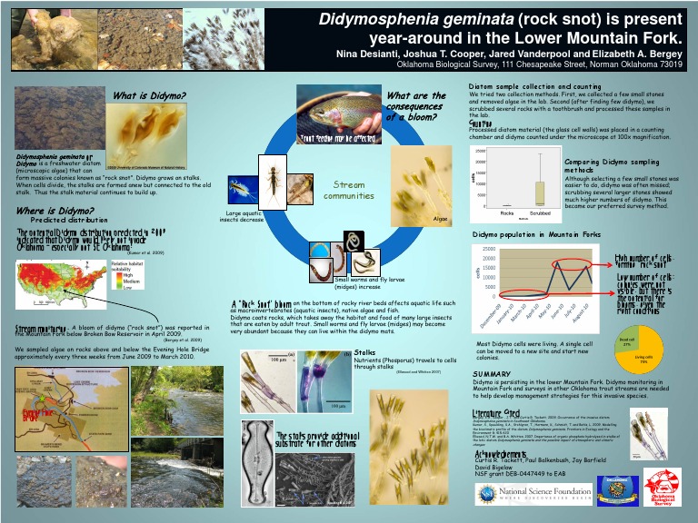 Didymo Invasion Impact in Oklahoma Streams | PDF | Aquatic Ecology ...