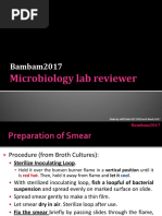 Bacterial Identification Flow Chart | PDF