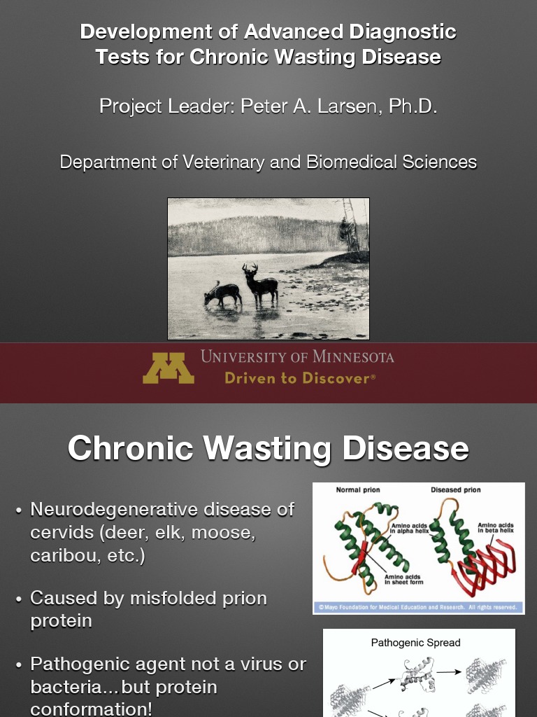 Larsen 201903t CWD Diagnostics LCCMR 17june19 | PDF | Epidemiology ...