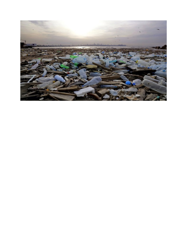 Photo Essay AP | PDF