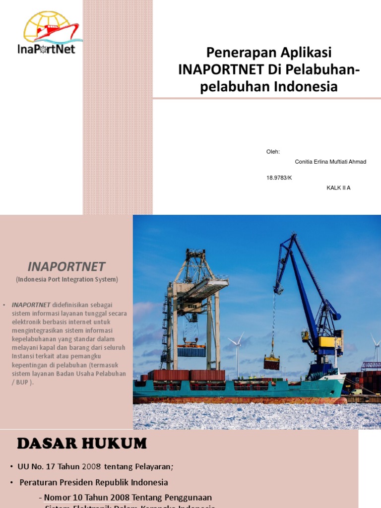 INAPORTNET | PDF