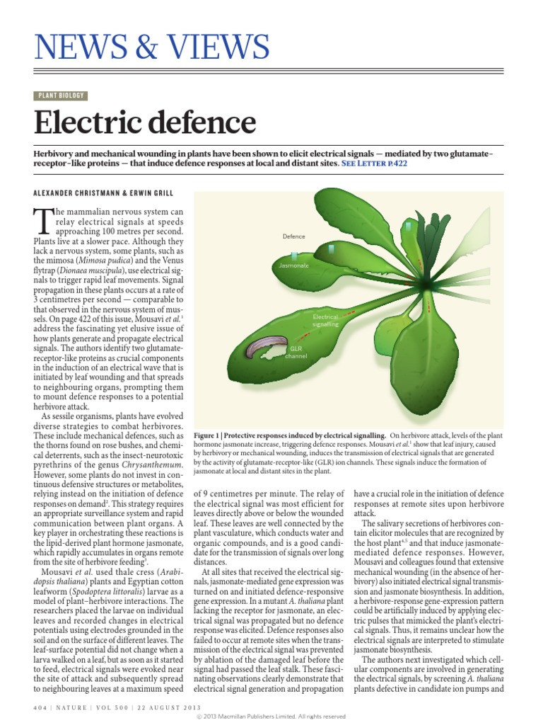 Electric Defence: News & Views | PDF | Arabidopsis Thaliana | Stars