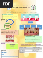 Códigos de Diagnósticos y Tratamientos Yo Procedimientos Dentales en El CIE 10 | PDF | Diente ...