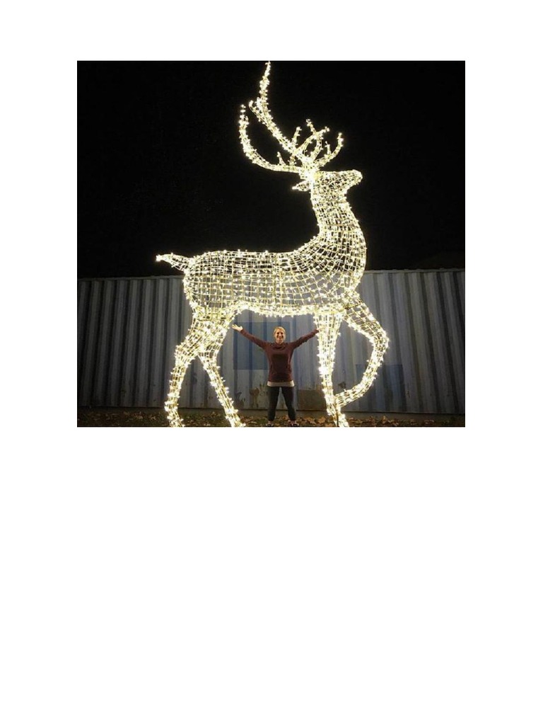 Modelo de Reno | PDF