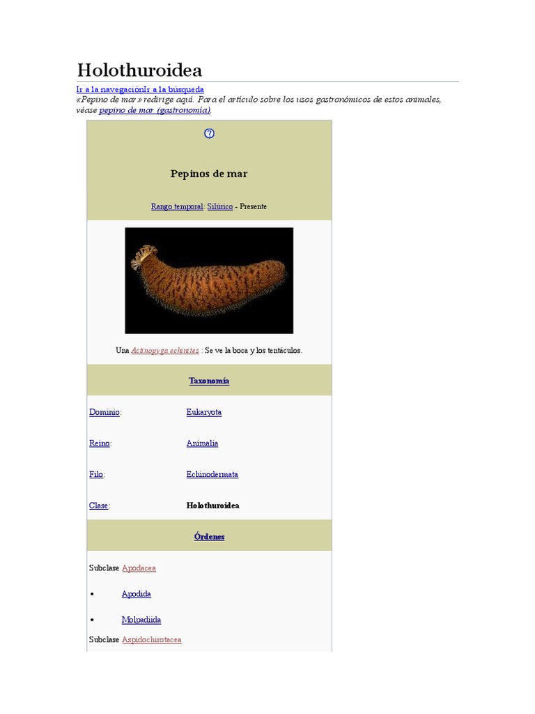 Holothuroidea | PDF | Organismos | Oceanografía