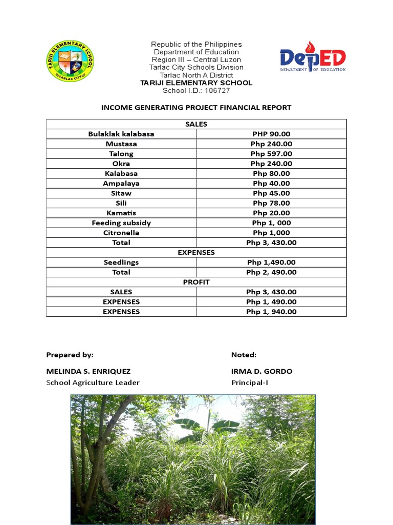 Financial Report Igp | PDF | Philippines | Economies