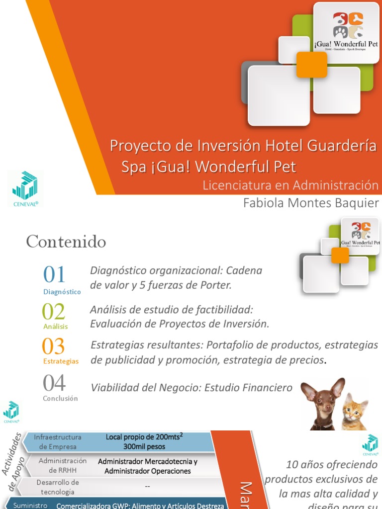 Gua Wonderful Pet | PDF | Microeconomía | Marketing