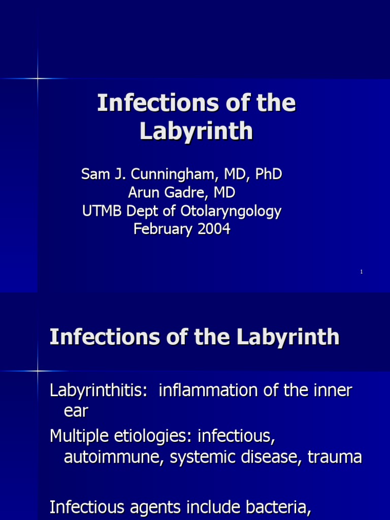 Infections of The Labyrinth | PDF | Infection | Meningitis