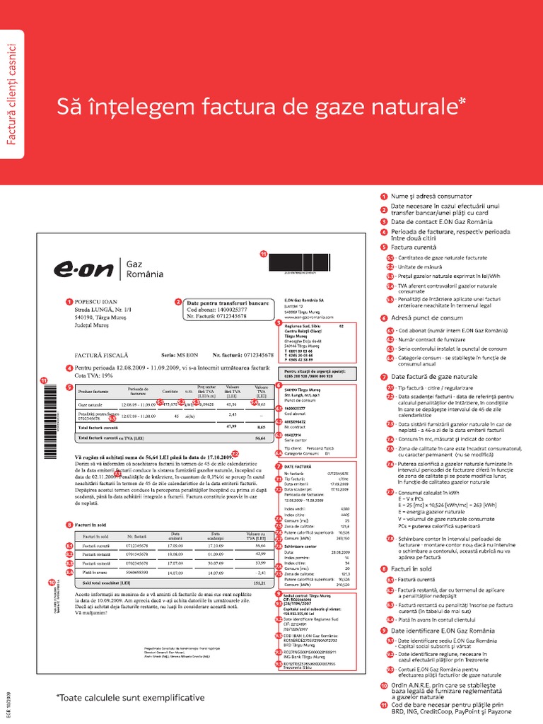 IMPORTANT Explicatii - Factura EON GAZ PDF | PDF