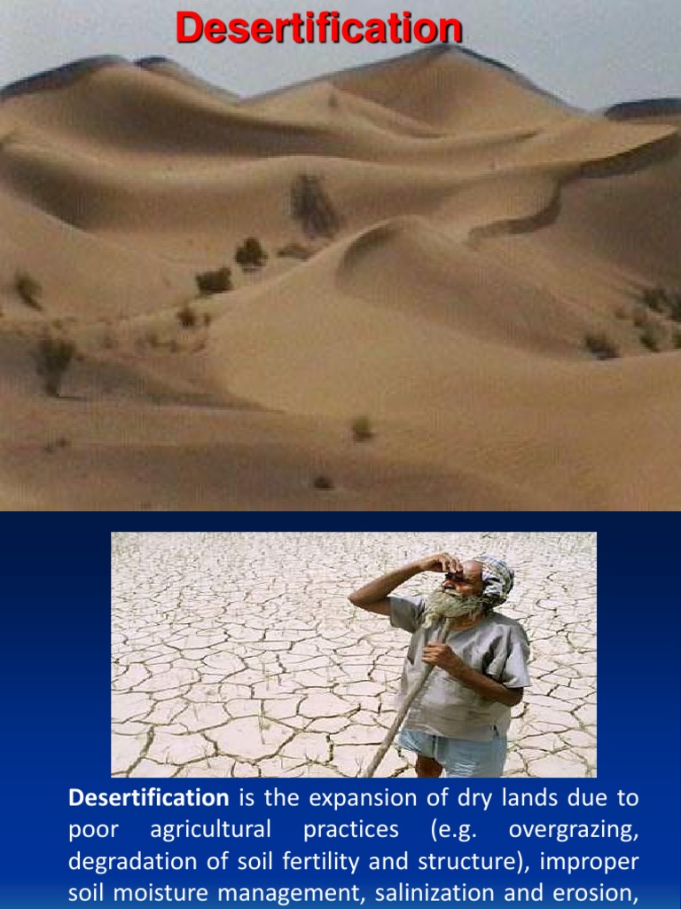 Desertification PDF | PDF | Desert | Soil