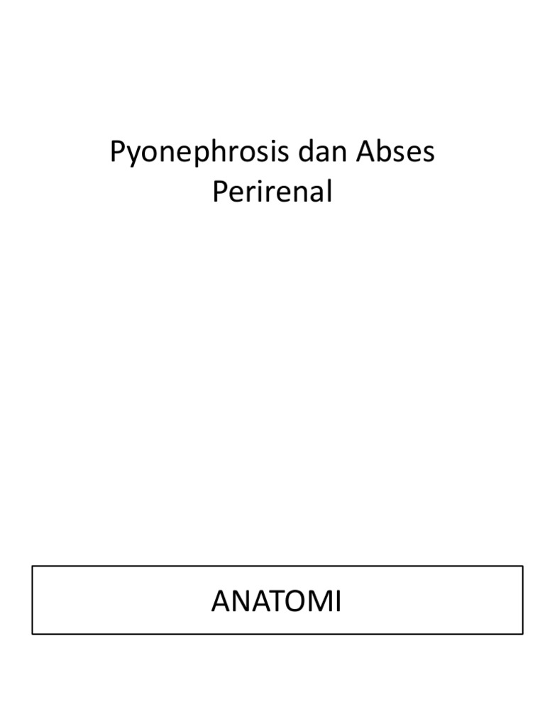 Pyonephrosis dan Abses Perirenal: Gejala dan Diagnosis | PDF | Sains ...