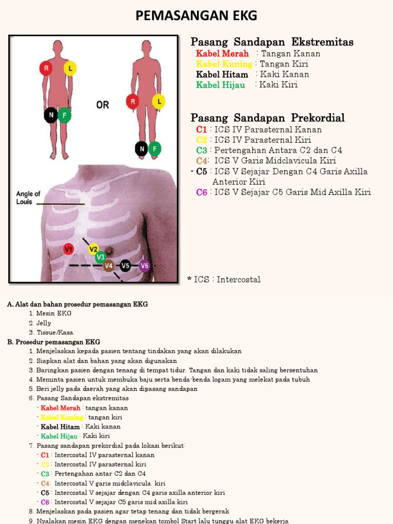 Prosedur Ekg | PDF