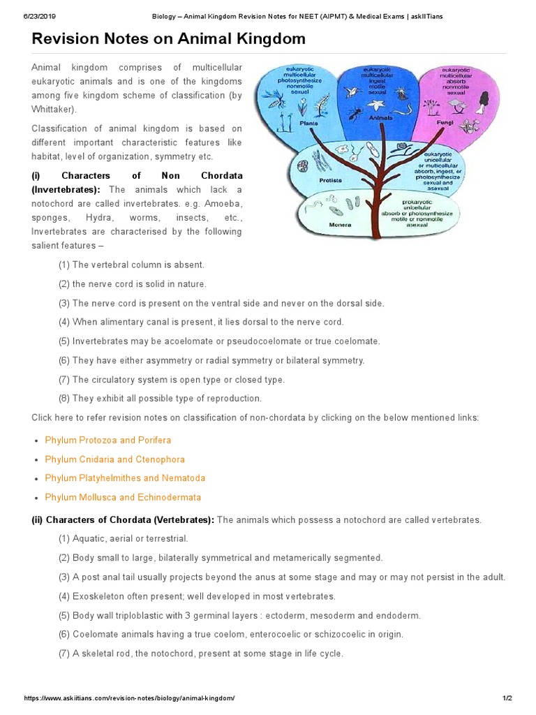 Biology - Animal Kingdom Revision Notes For NEET (AIPMT) & Medical ...