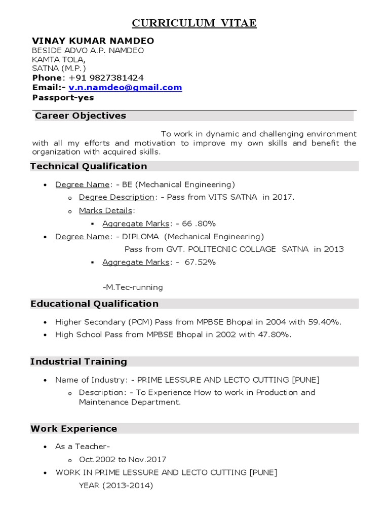Curriculum Vitae: Vinay Kumar Namdeo | PDF
