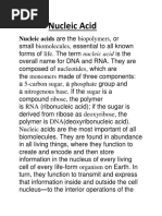 Carbohydrates Project for Class 12 | PDF | Carbohydrates | Fructose