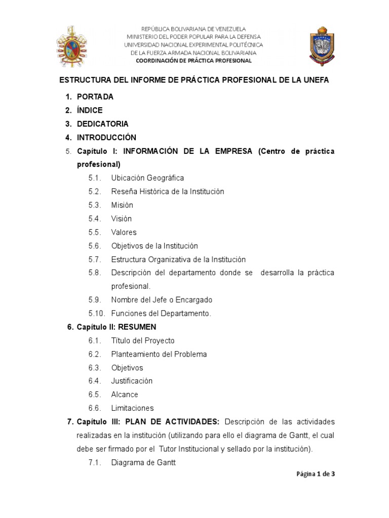 Guidelines for the Structure and Format of the Professional Practice ...