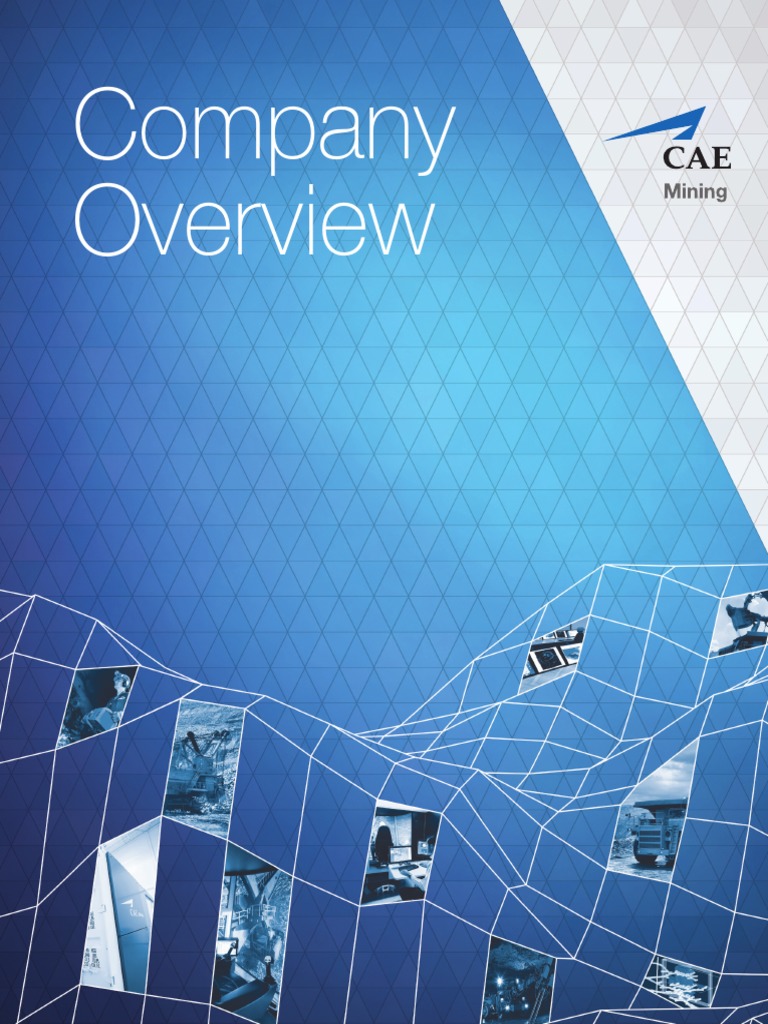CAE Mining Company | PDF | Simulation | Consultant