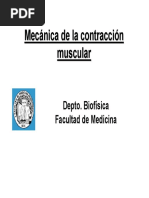 Modelo de Hill | PDF | Músculo esquelético | Actina