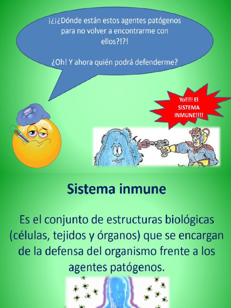 Sistema Inmunologico | Descargar gratis PDF | Sistema inmune | Linfocitos