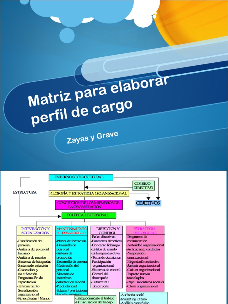 Matriz de Perfil de Cargo | PDF