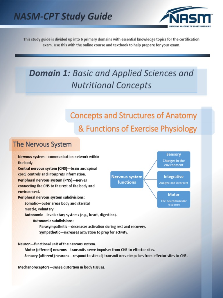 Study Guide NASM 2019 PDF | PDF | Carbohydrates | Anatomical Terms Of ...