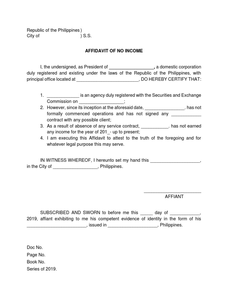Affidavit of No Income | PDF
