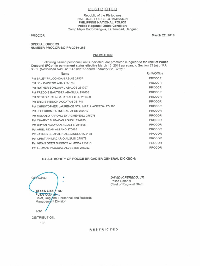 RMFB15 Promotion-Order PDF | PDF