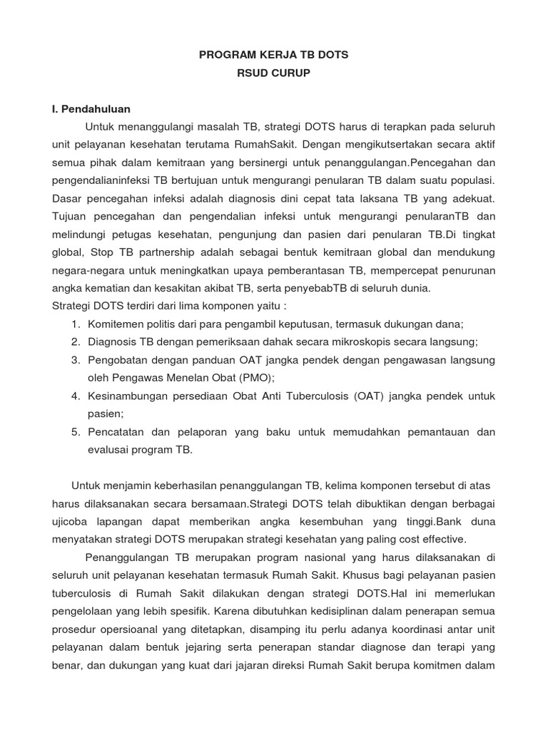 Program Kerja TB Dots | PDF