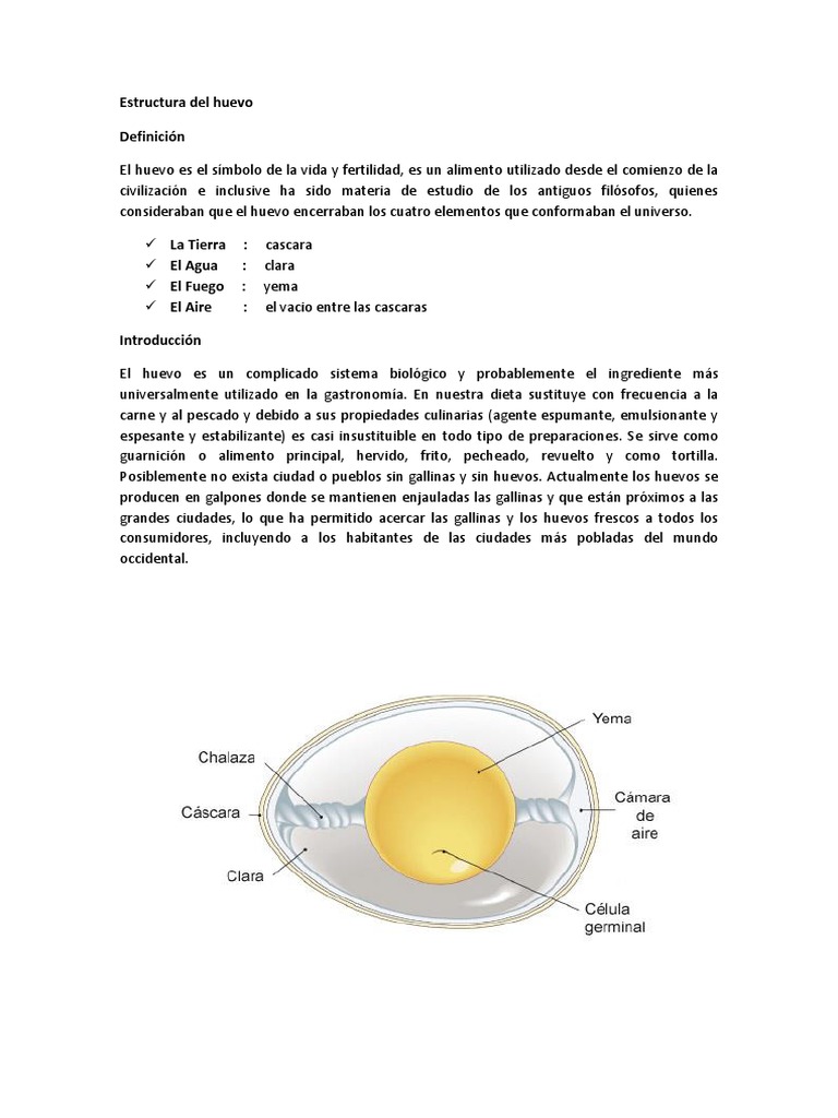 Estructura y Clasificación del Huevo | PDF | Huevo como alimento ...