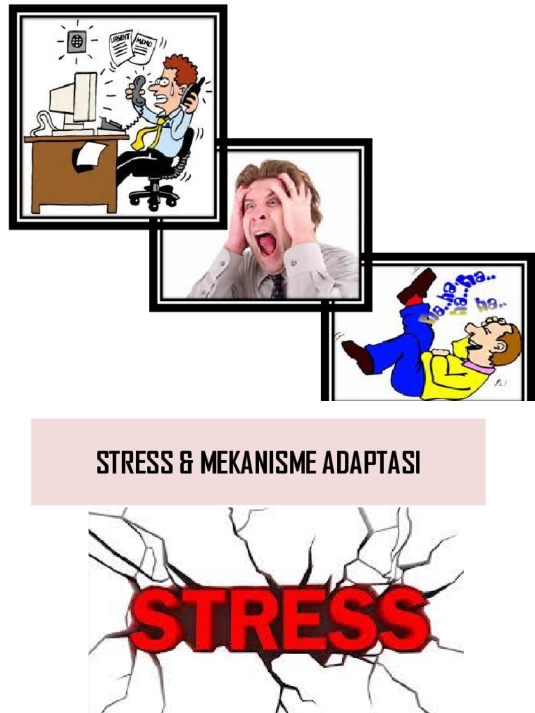 Mekanisme Stres dan Adaptasi Individu | PDF | Karier & Perkembangan ...